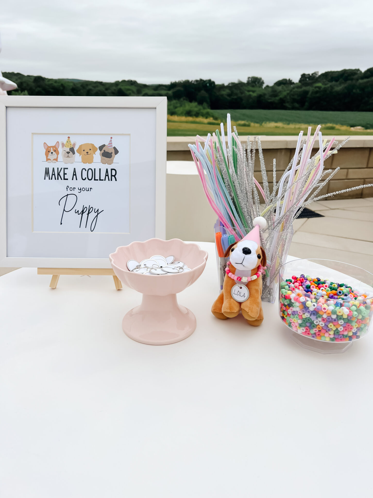 ADOPT A PUPPY BIRTHDAY PARTY - Red White & Denim